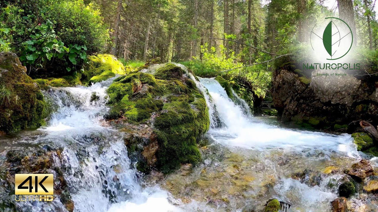GENTLE WOODLAND WATERFALL | Sounds of Nature | The Gentle Woodland ...