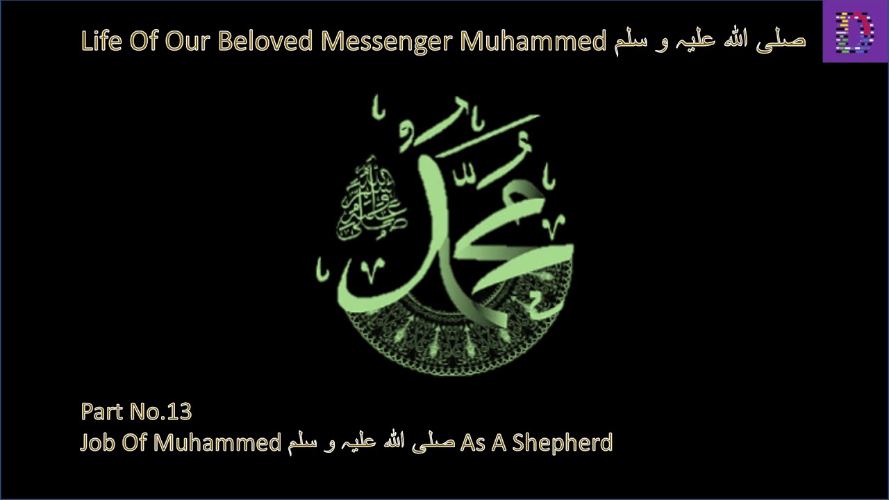 Part 13 - Job Of Muhammed صلی اللہ علیہ و سلم As A Shepherd - YouTube