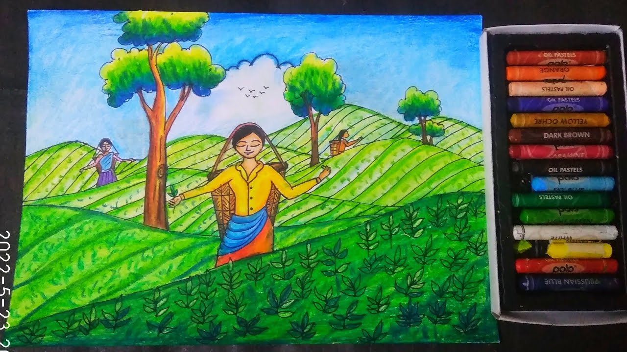 How to draw scenery of tea garden step by step/ Art by Sukanta - YouTube