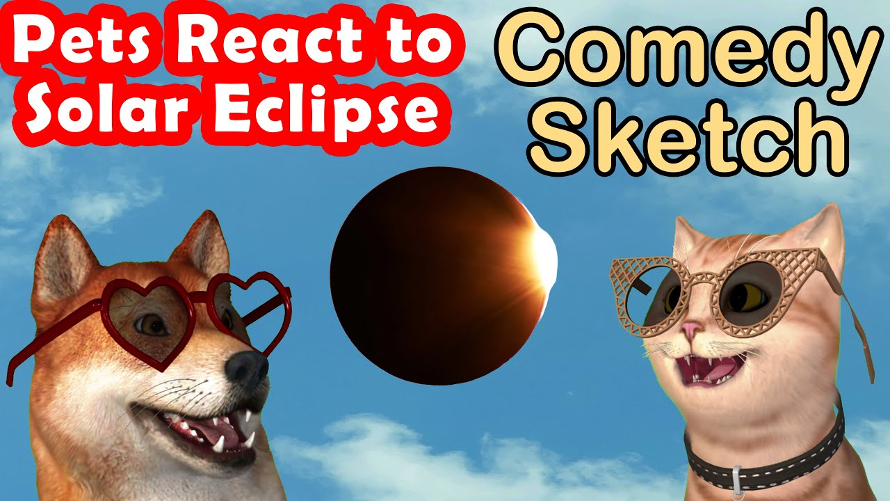 3D Pet Chat Comedy: How Pets React to Solar Eclipse - YouTube