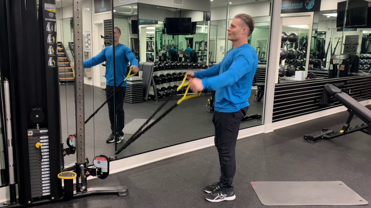 Standing Scaption Benefits at Terry Akers blog