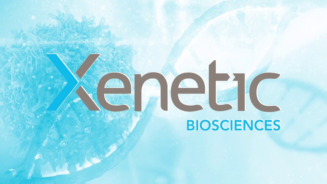 Xenetic Biosciences Scientific Overview of XCART and PolyXen - YouTube