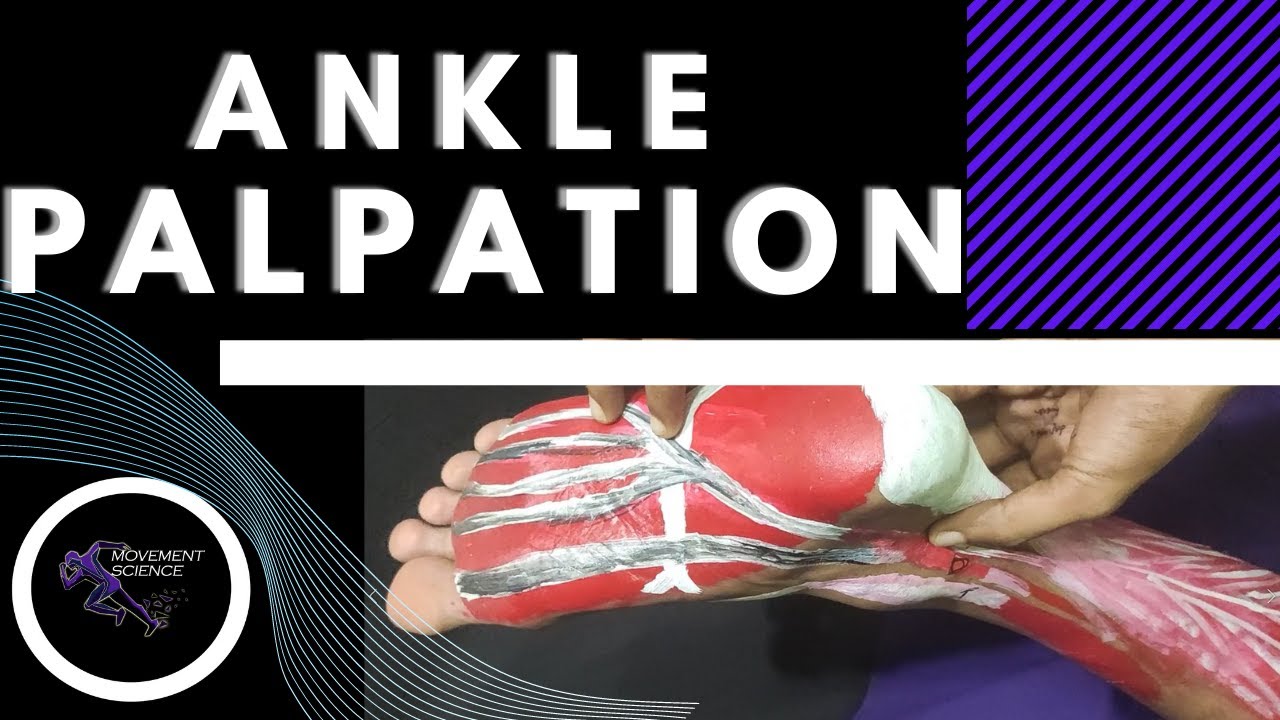 ANKLE JOINT PALPATION (ANKLE JOINT BIOMECHANICS)Physiotherapy Tutorials ...