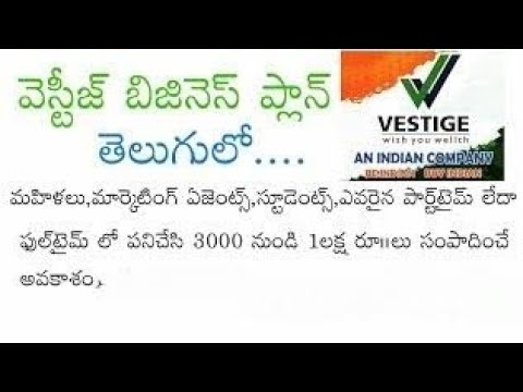 what is vestige, vestige అంటే ఏమిటి? - YouTube