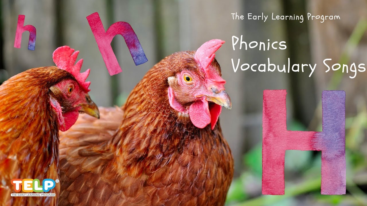 PHONICS: ABC SONG - LETTER H SONG - YouTube