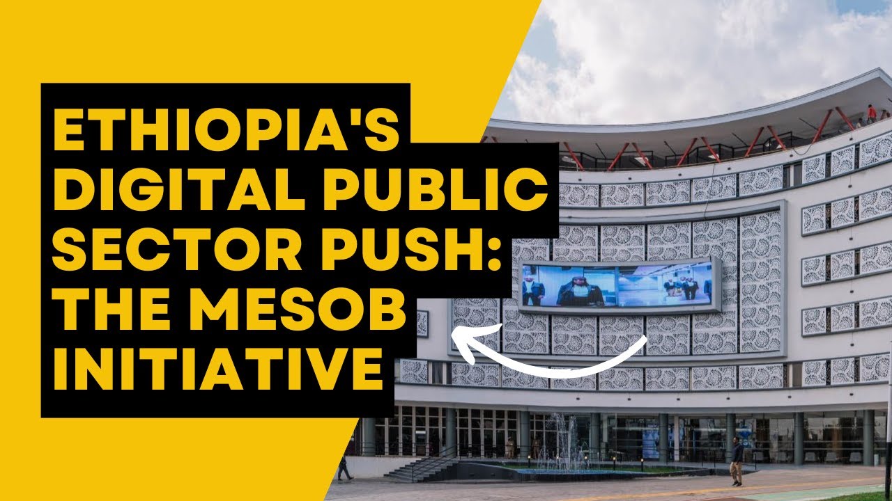 Ethiopia's Digital Public Sector Push: The Mesob Initiative | The Buna ...