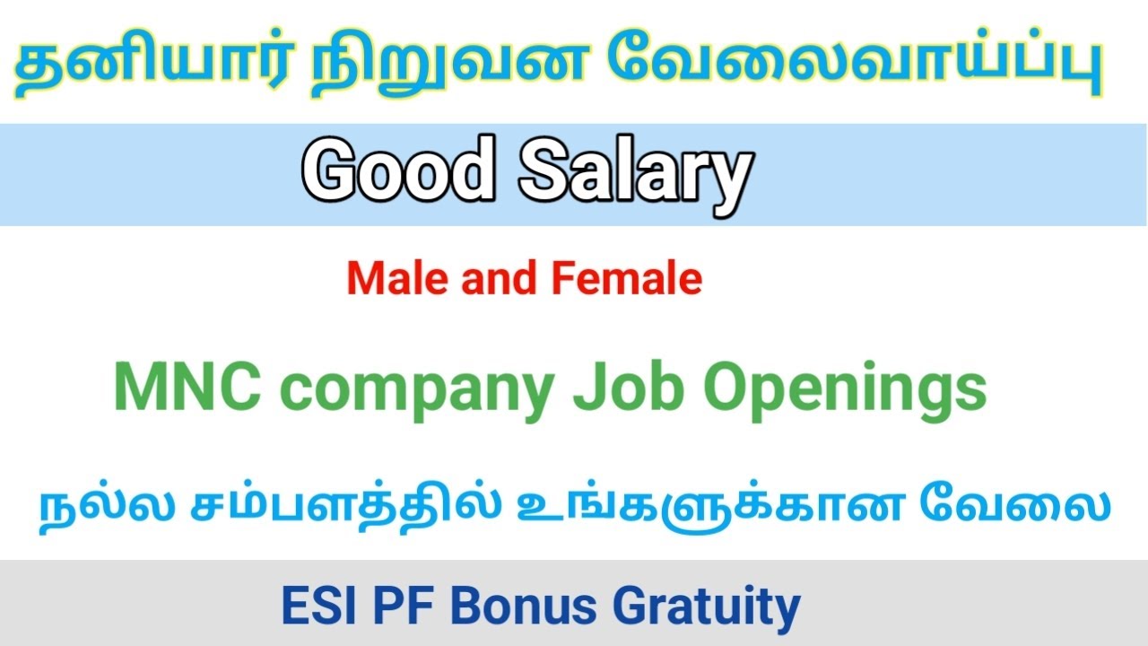 💥 Direct Company Job Openings Male and Female Candidates 2024 Job ...
