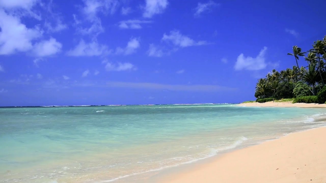 🌞🌴Peaceful tropical beach ambiance for stress reduction and a soothing ...