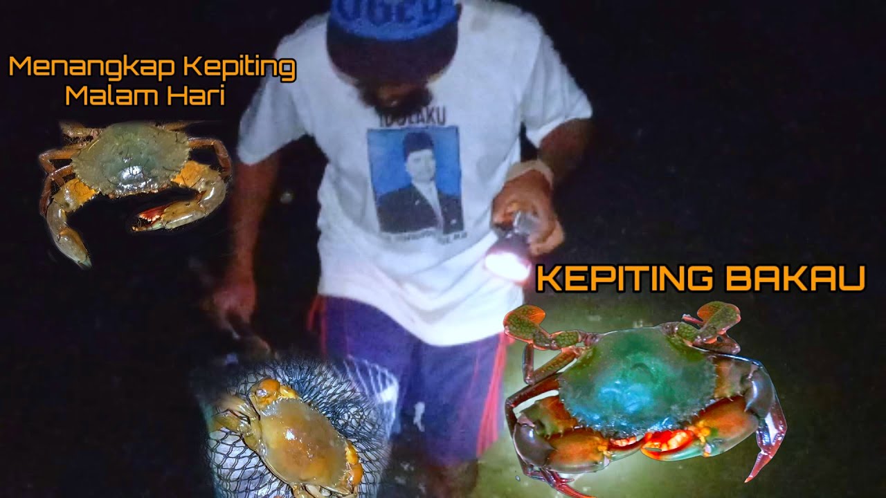 MENANGKAP KEPITING BAKAU DENGAN CARA YANG MUDAH‼️BERBURU KEPITING MALAM ...