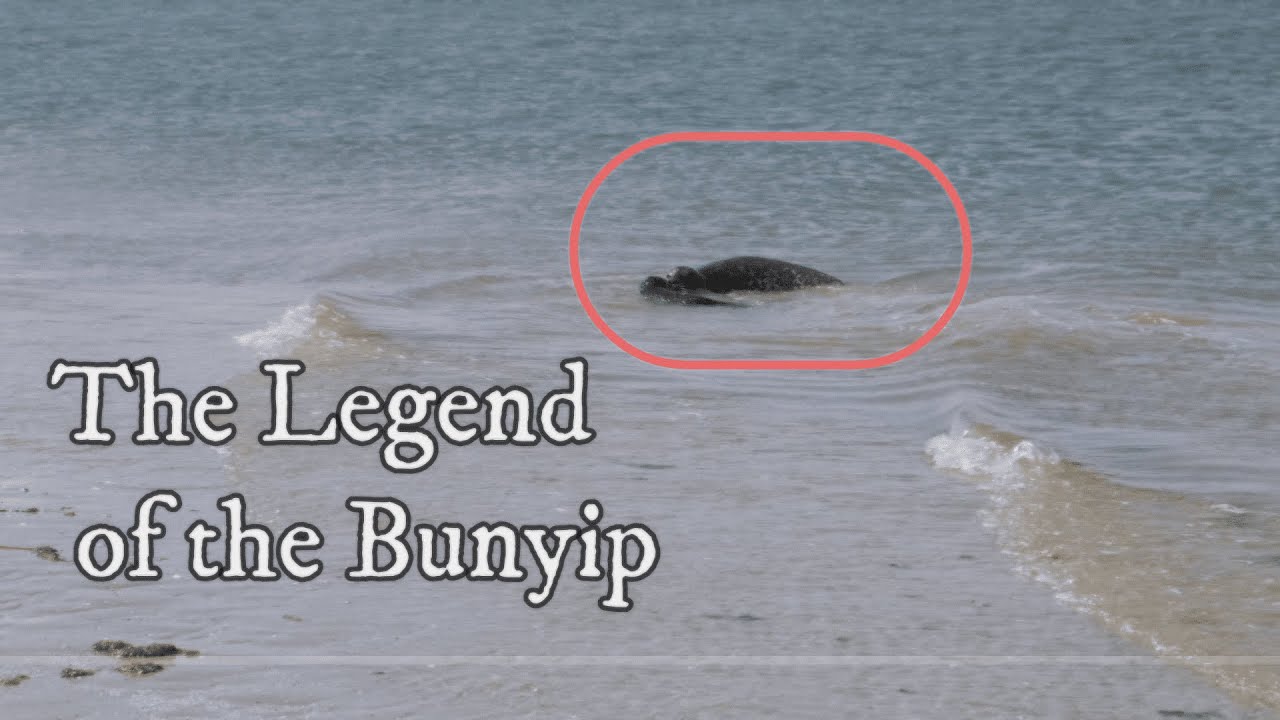 The Legend of the Bunyip - YouTube