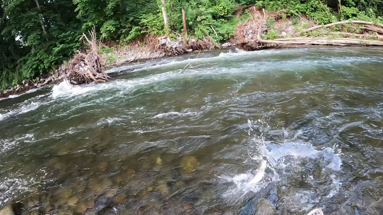 RIFFLES! Swinging and stripping streamers! ROADSIDE WATERS Series EP 3 ...