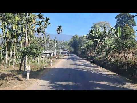Jhapa Supari bari - झापाको सुपारी बारी - jhapa to ilam - Way to ilam - jhapa supari - jhapali