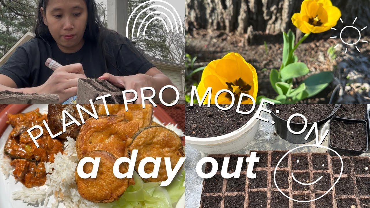 ♾️Man Plants the Seeds but God Brings the Growth | Local Seeds 🌱| Green ...