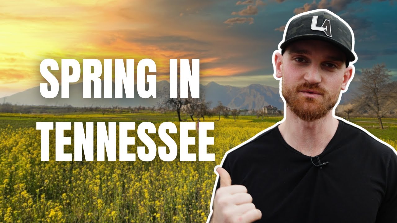 Spring in Tennessee - What's it Like Living In Chattanooga TN During ...
