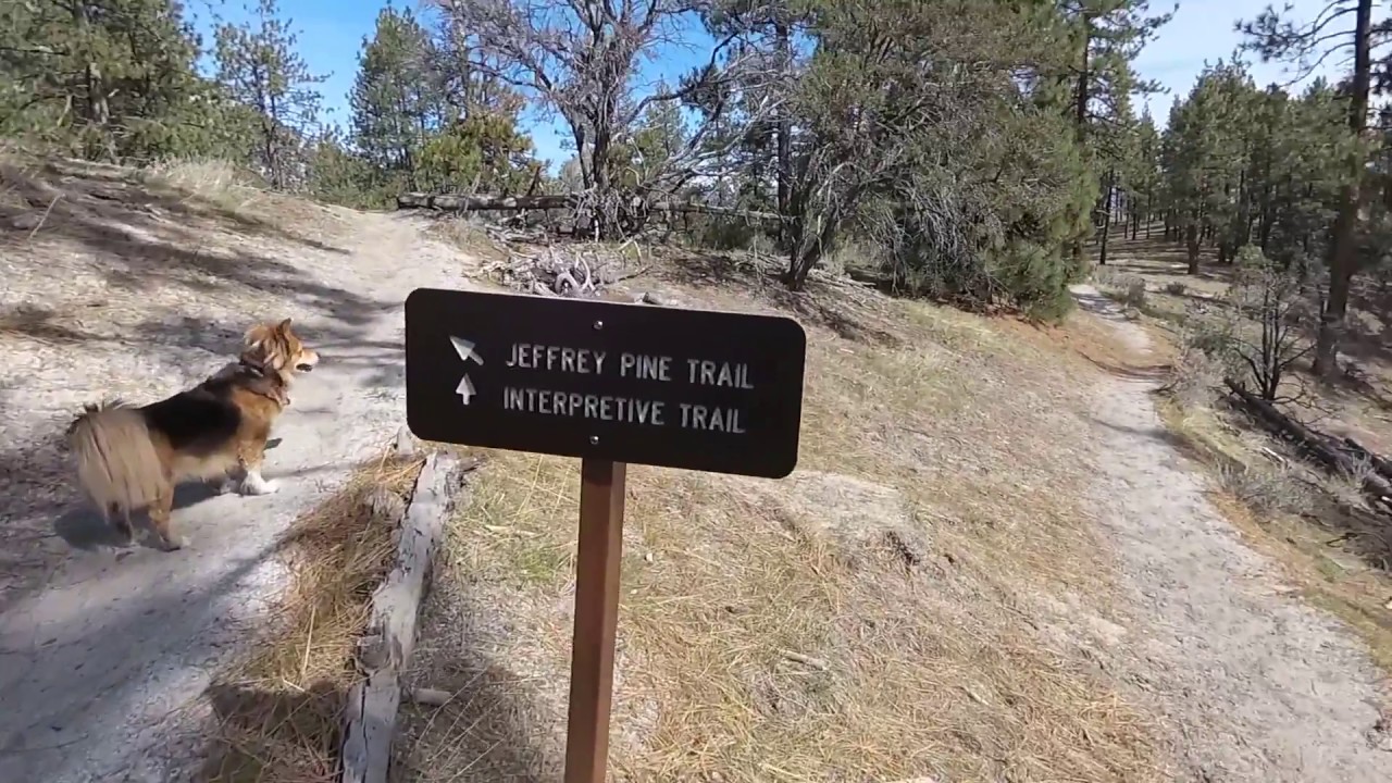 Fay-Luther Trail System - Sandy Trail and Interpretive Loop - YouTube