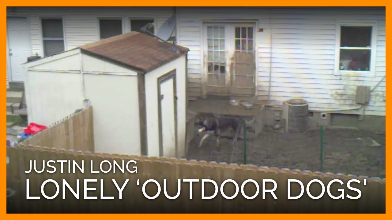 Justin Long Gives Voice to Lonely 'Outdoor Dogs' - YouTube