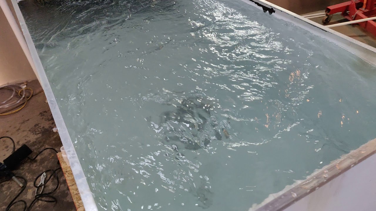 Hydro Dipping Tank Build - YouTube