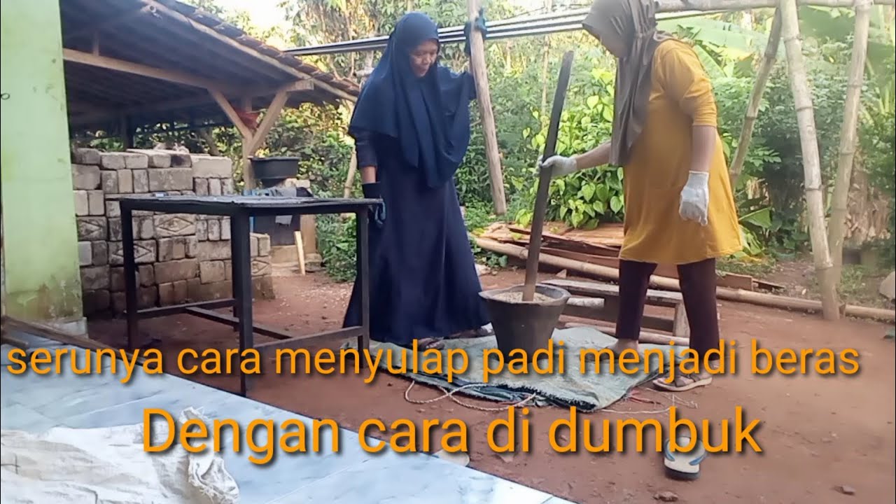 menyulap padi benjadi beras dengan cara di tumbuk @Wa Nyai - YouTube