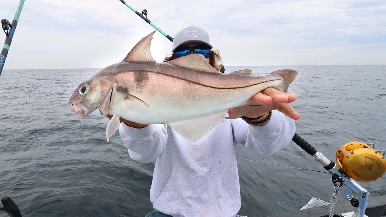 GROUND fishing up North!! | AUTHENTIC FISH & CHIPS | (Haddock catch ...