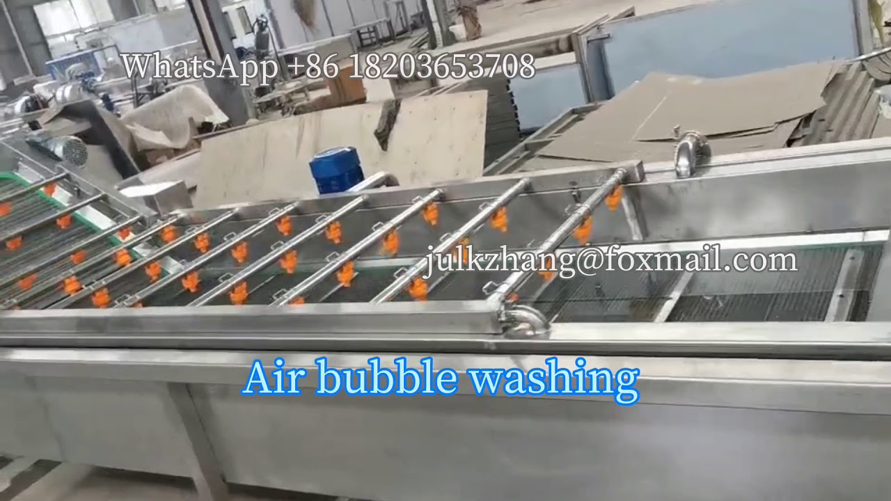 Ginger washing machine 800kg-1000kg| Ginger process machine - YouTube