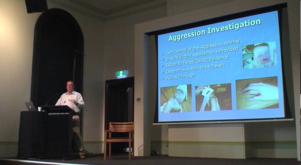 Bill Bruce discusses the Calgary Model - YouTube