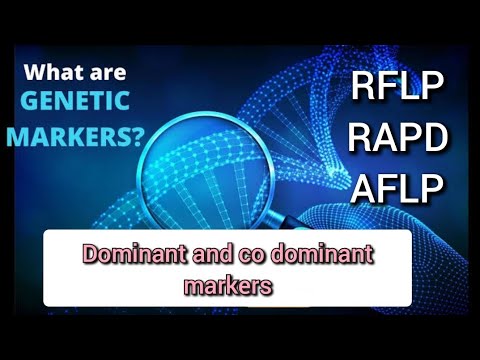 DNA markers - RFLP, RAPD and AFLP | Codominant and Dominant markers ...