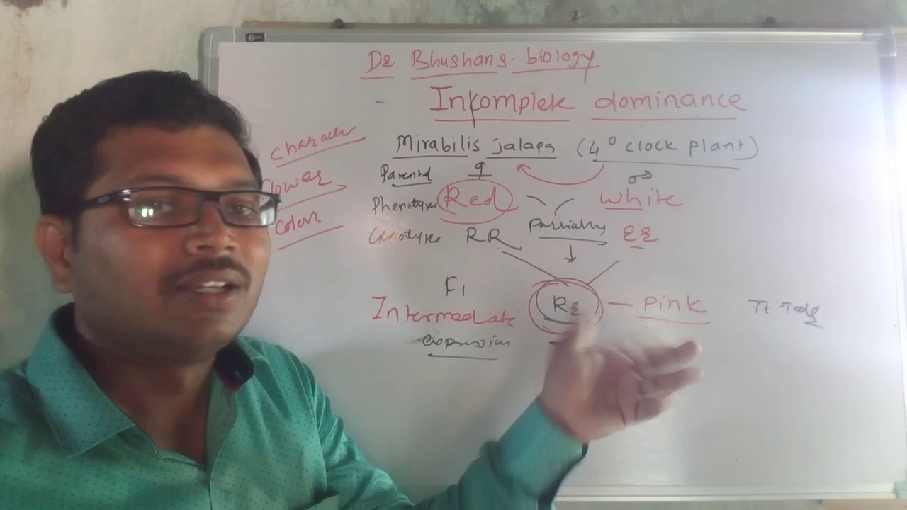 NCRT_Incomplete dominance-intragenic gene interactions - YouTube