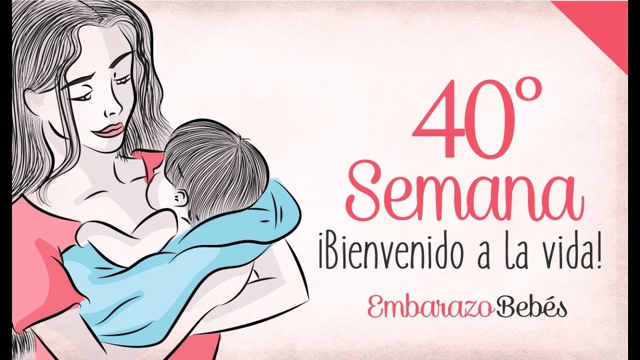 SEMANA 40 de #Embarazo | 9º Mes | Semana a semana - YouTube