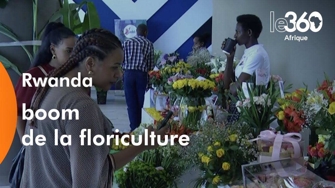 Rwanda: la floriculture redonne des couleurs à l’économie nationale ...