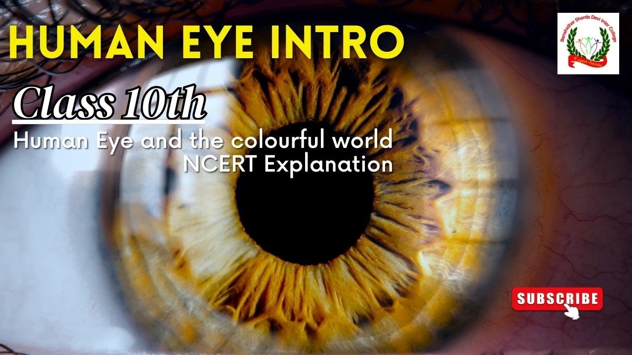Human Eye|| Class 10th || NCERT Explanations. - YouTube