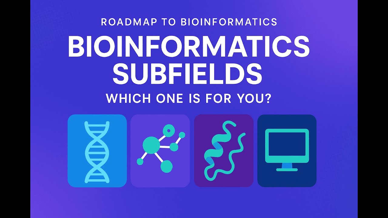 Bioinformatics Subfields Explained | Roadmap to Bioinformatics Ep. 3 ...