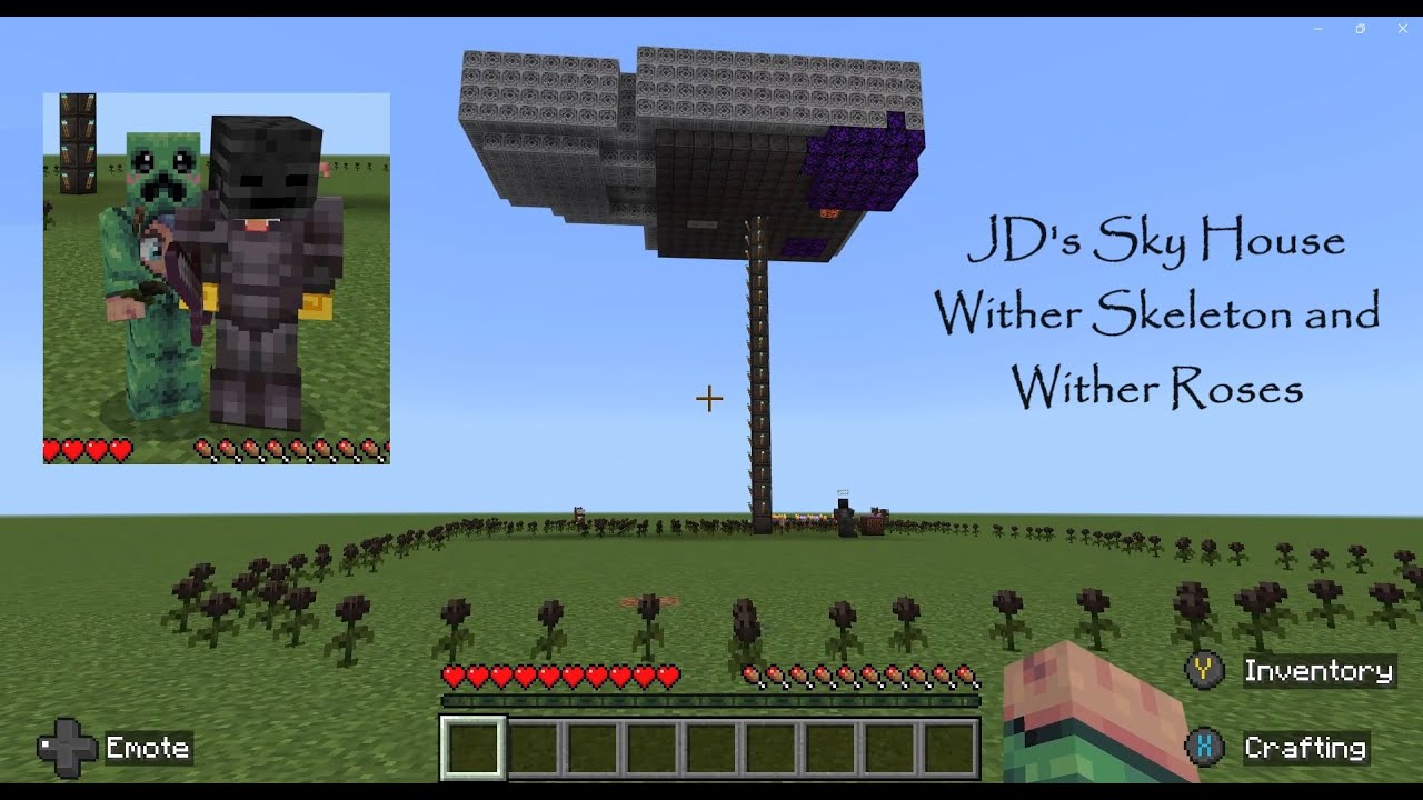 Minecraft JD's Sky Lab House with Wither Skeleton Tube and Wither Rose Flowers - YouTube