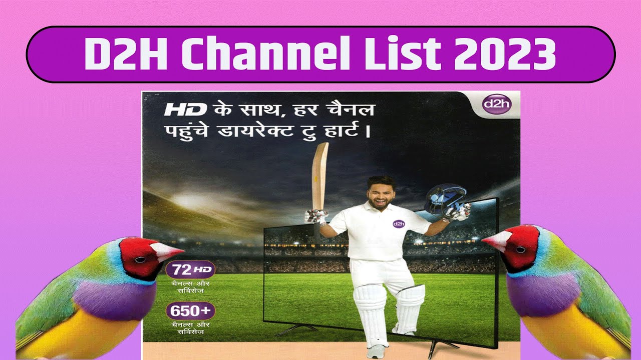 D2h Channel List 2023 | HD and SD Packs - YouTube