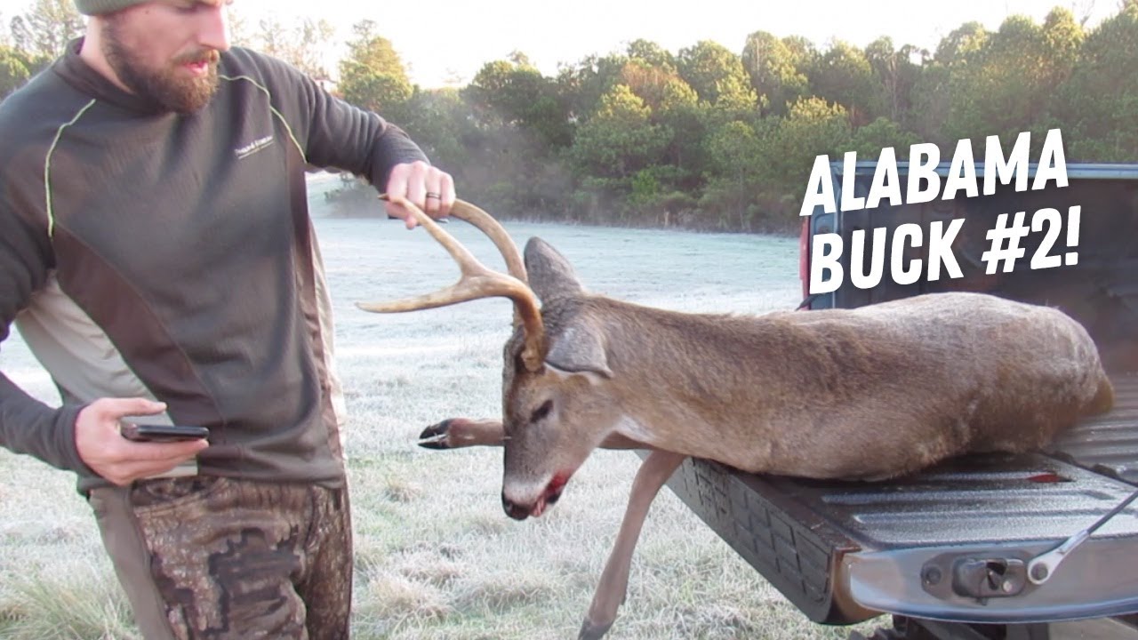 Quickest Hunt of My Life! **ALABAMA BUCK** - YouTube