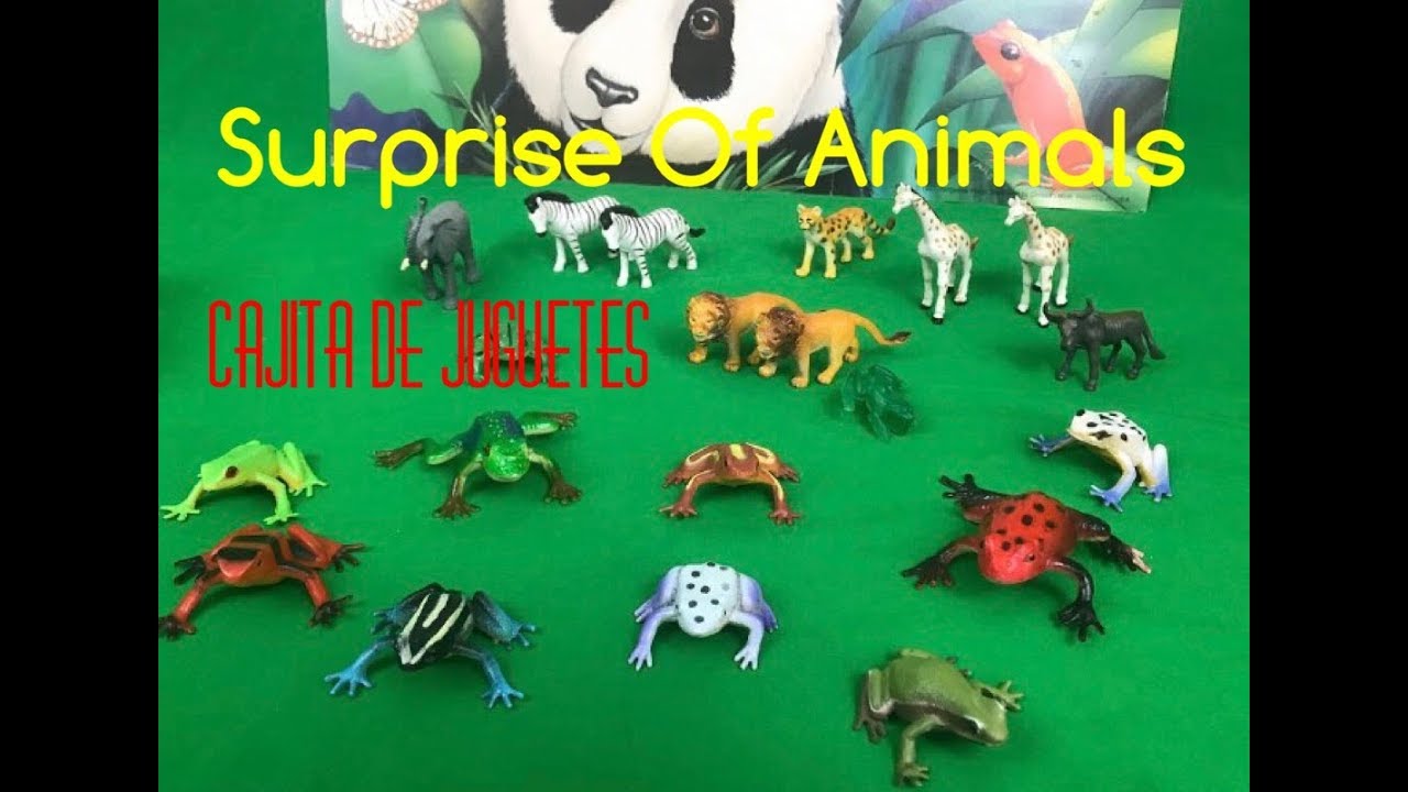 Surprise Of Animals 🐘 🐆 // Sorpresa De Animales 🐃 🐸 - YouTube