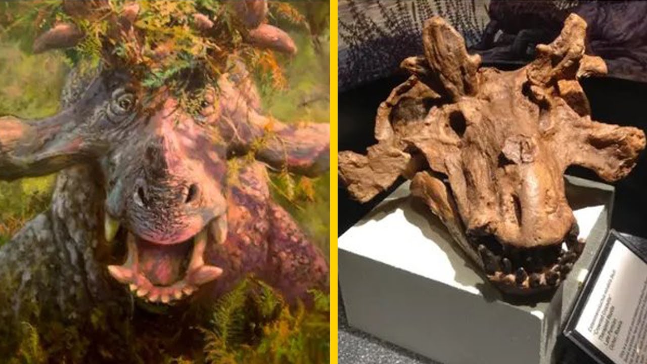 Las 20 Criaturas Más Terroríficas Que Vivieron Antes De Los Dinosaurios ...