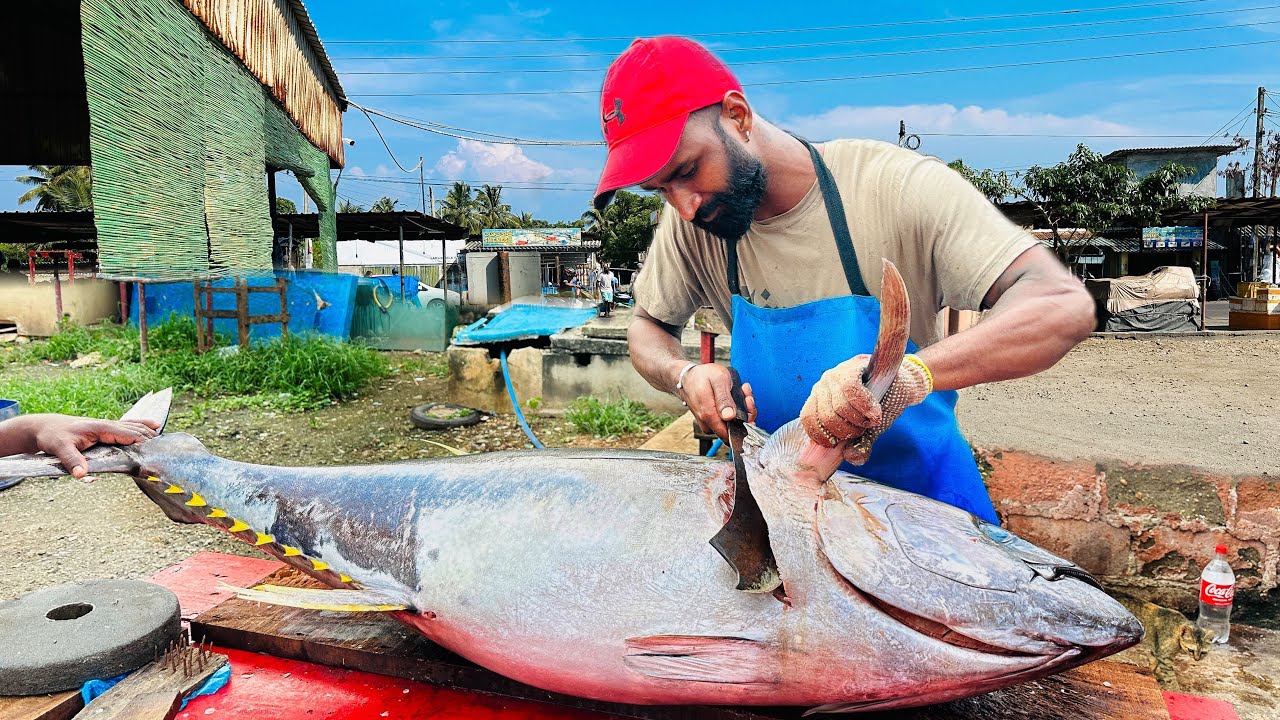 OMG WHAT AN AMAZING WAY TO PREPARE GIANT 60Kg YELLOWFIN TUNA FOR LOCAL ...