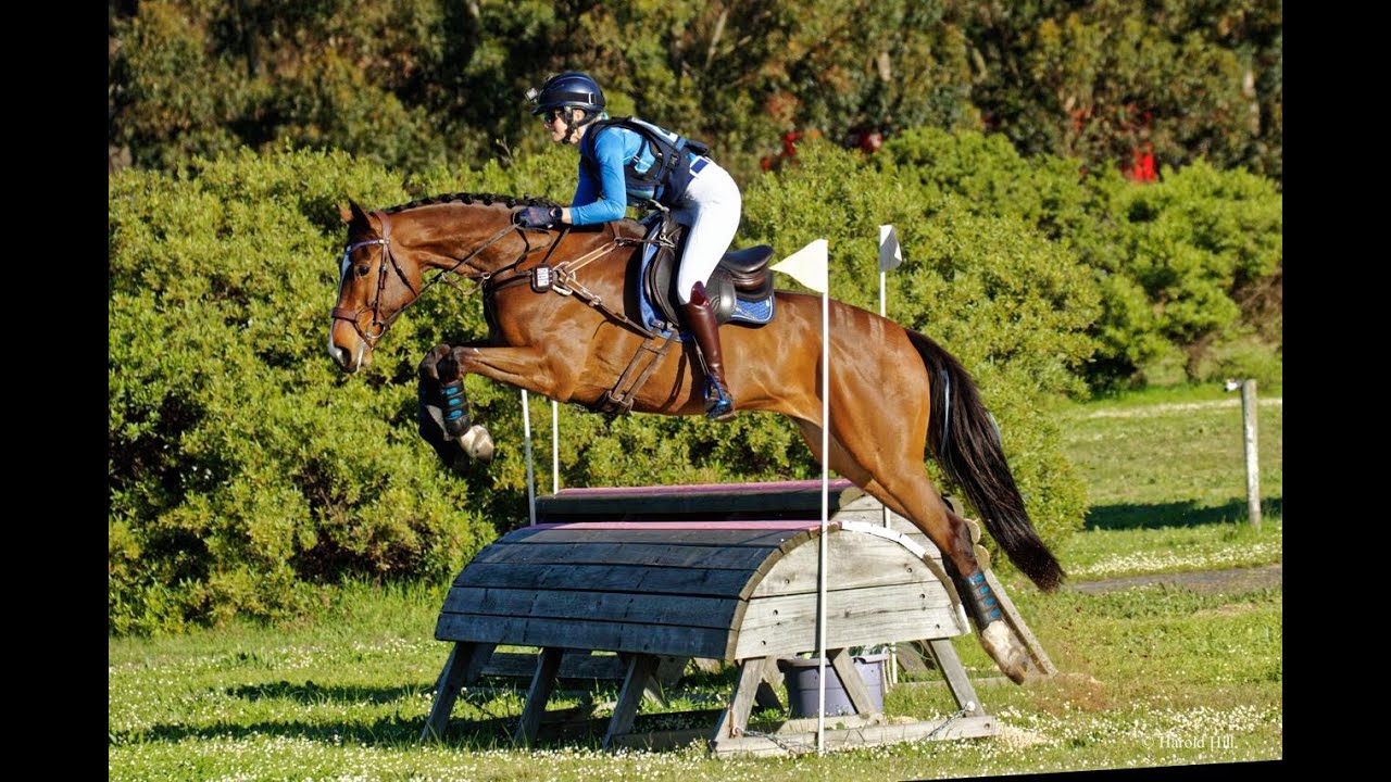 One Day Eventing Stellenbosch - YouTube