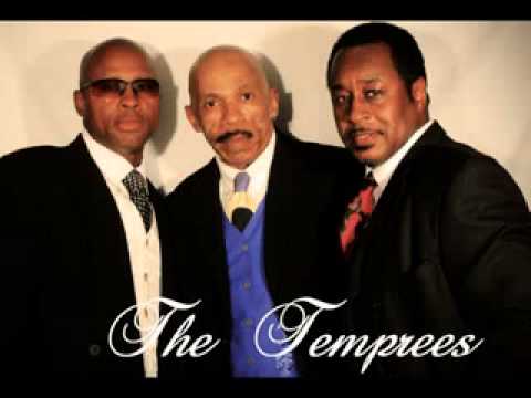 The TEMPREES - YouTube