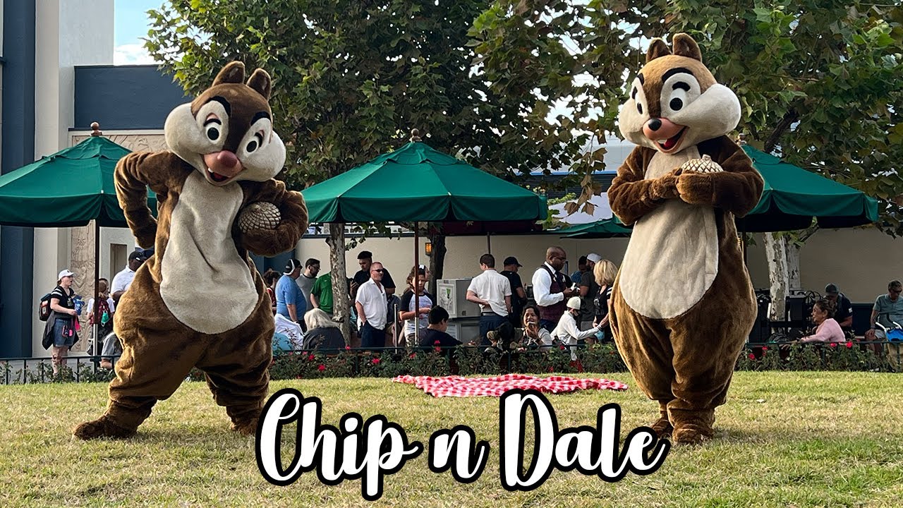Chip And Dale Disney World
