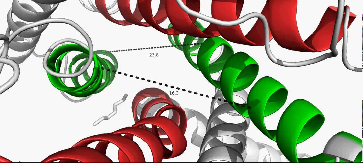 Pymol Movie Converted - YouTube
