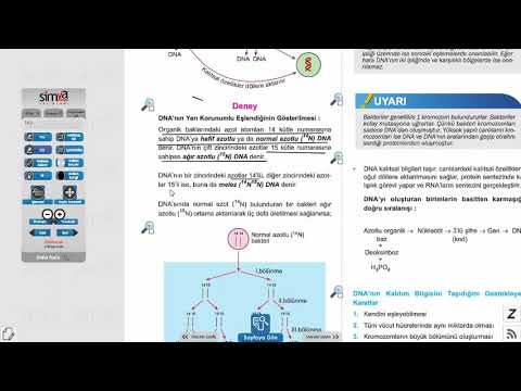 12 sınıflar yönetici moleküller  DNA ve RNA