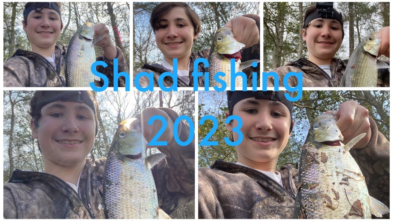 Shad Fishing 2023 (Va Shad run) - YouTube