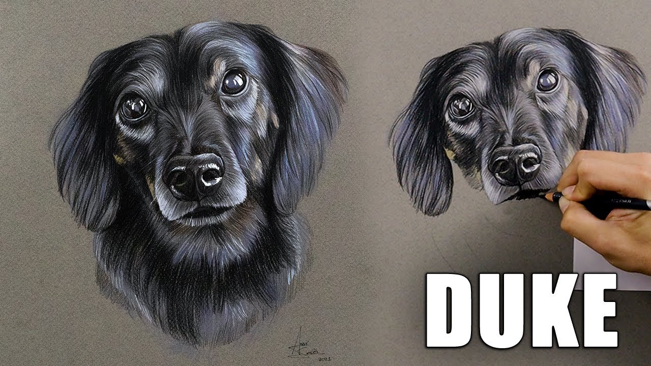 "Duke" - Dog Portrait - YouTube