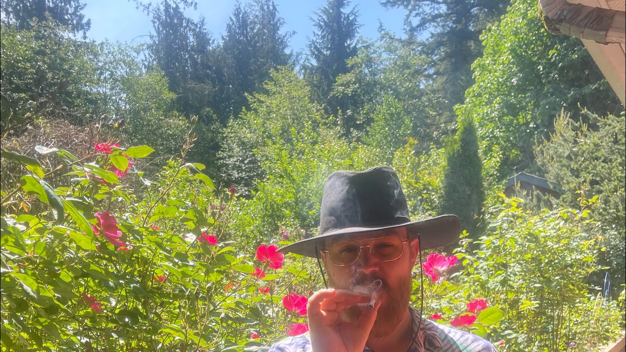 Tool - Disposition bass play through - YouTube