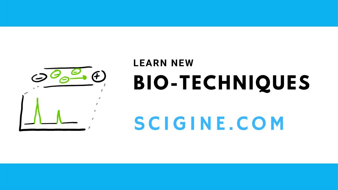 Learn New BioAnalytical Techniques Every Week - YouTube