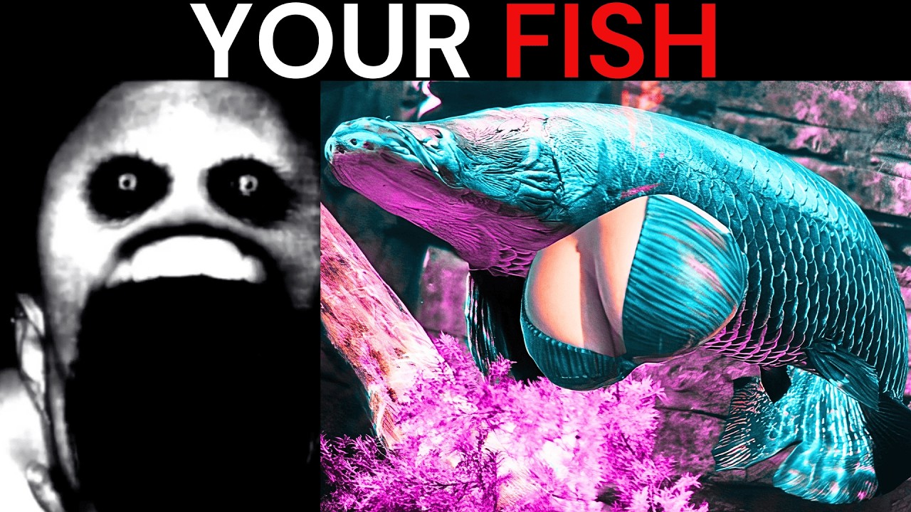 Mr Incredible Becoming Uncanny meme (Your fish) | 50+ phases - YouTube