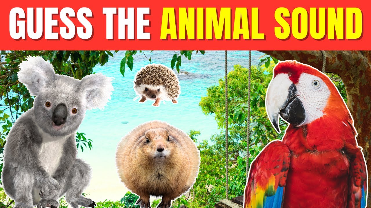 Guess The Unusual Animal Sound! 🐻40 Challenging Sounds! 🔔 - YouTube