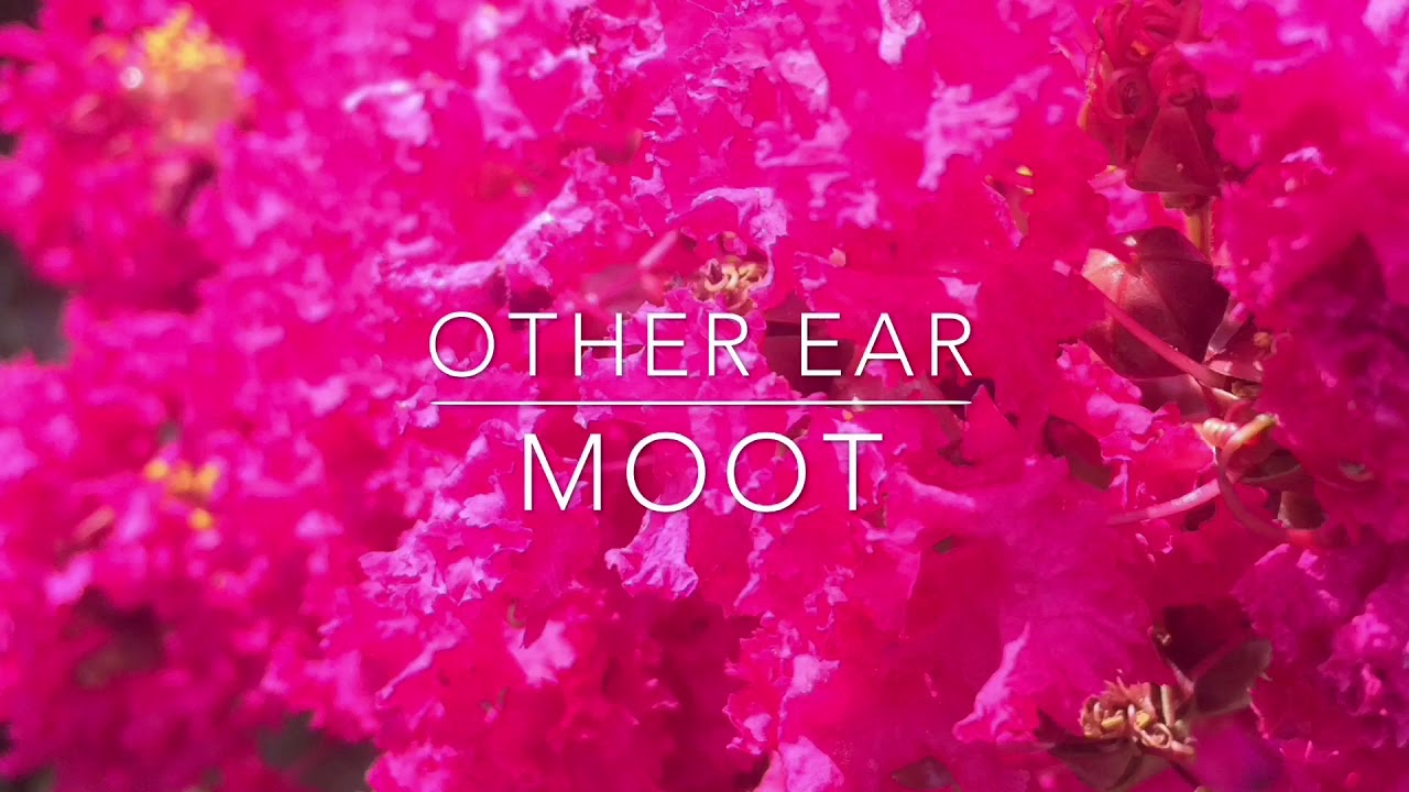 Other Ear - Moot - YouTube