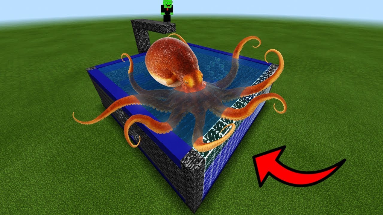 MCPE: How To Make an Octopus Pool - YouTube